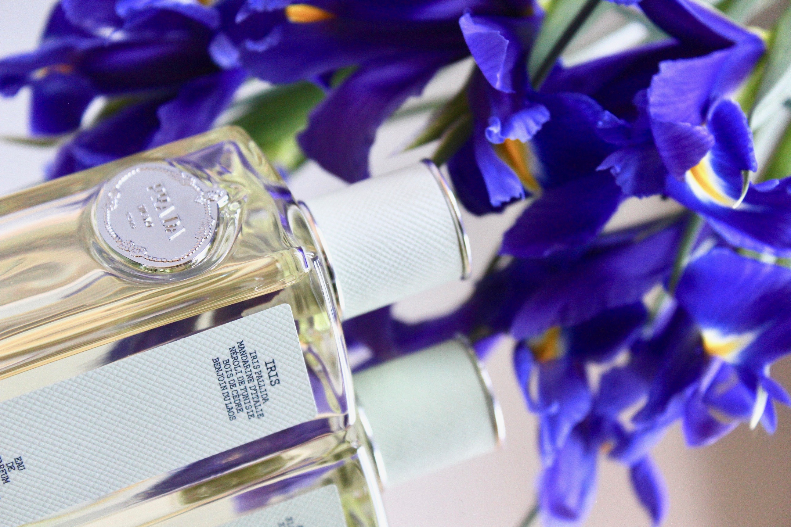 Visualising a Fragrance – The Candy Perfume Boy