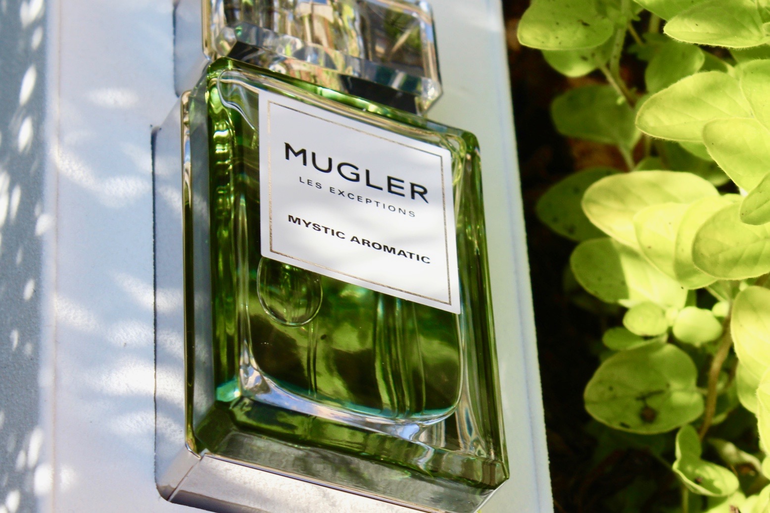 Perfume Review: Mystic Aromatic by MUGLER – The Candy Perfume Boy